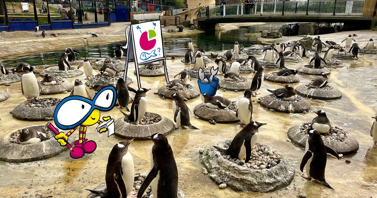 Finn Finity and the Wild Maths Zoo Adventure - Maths Week Scotland